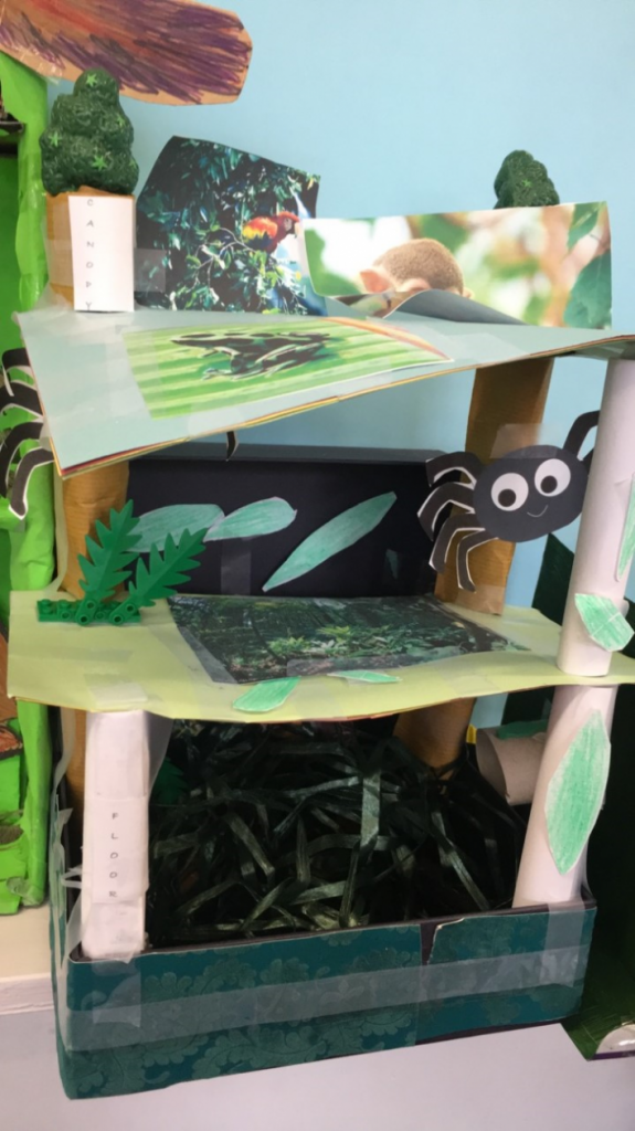 3D Rainforest Models by P7b – Balornock Primary School
