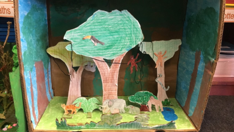 3D Rainforest Models by P7b – Balornock Primary School