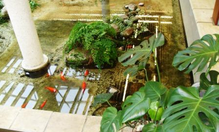 Advanced Higher | Mathematics & Numeracy