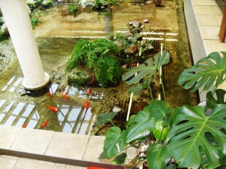 Advanced Higher | Mathematics & Numeracy