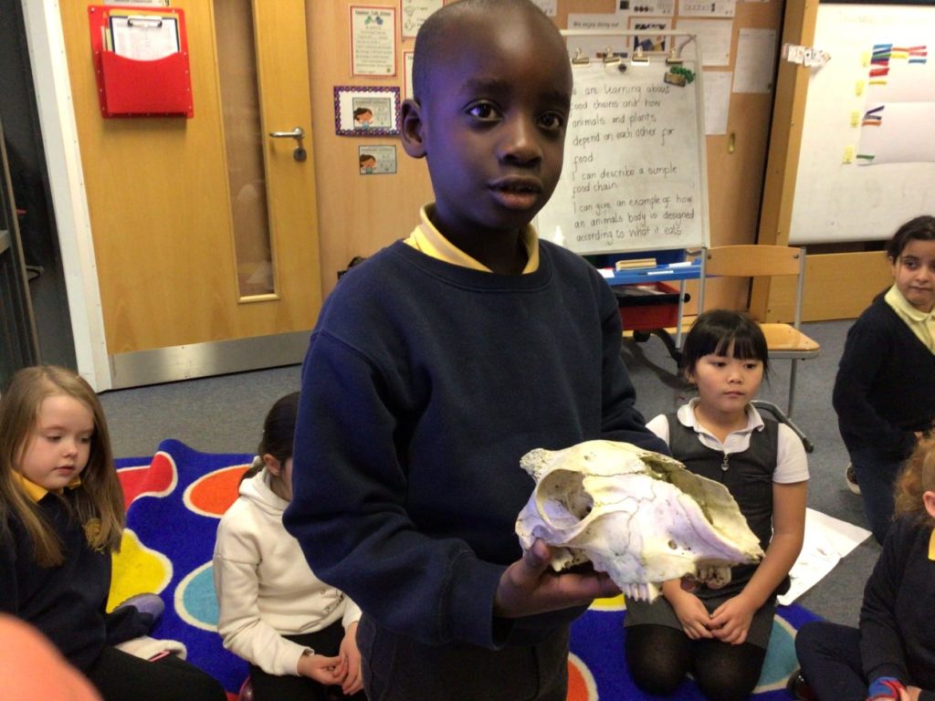 Camstradden Primary School | Caring Achieving Respectful Enthusiastic ...