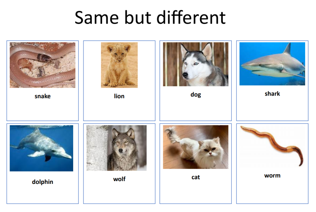 Bookbug & Read, Write, Count – Enjoy your new books at home with these ...