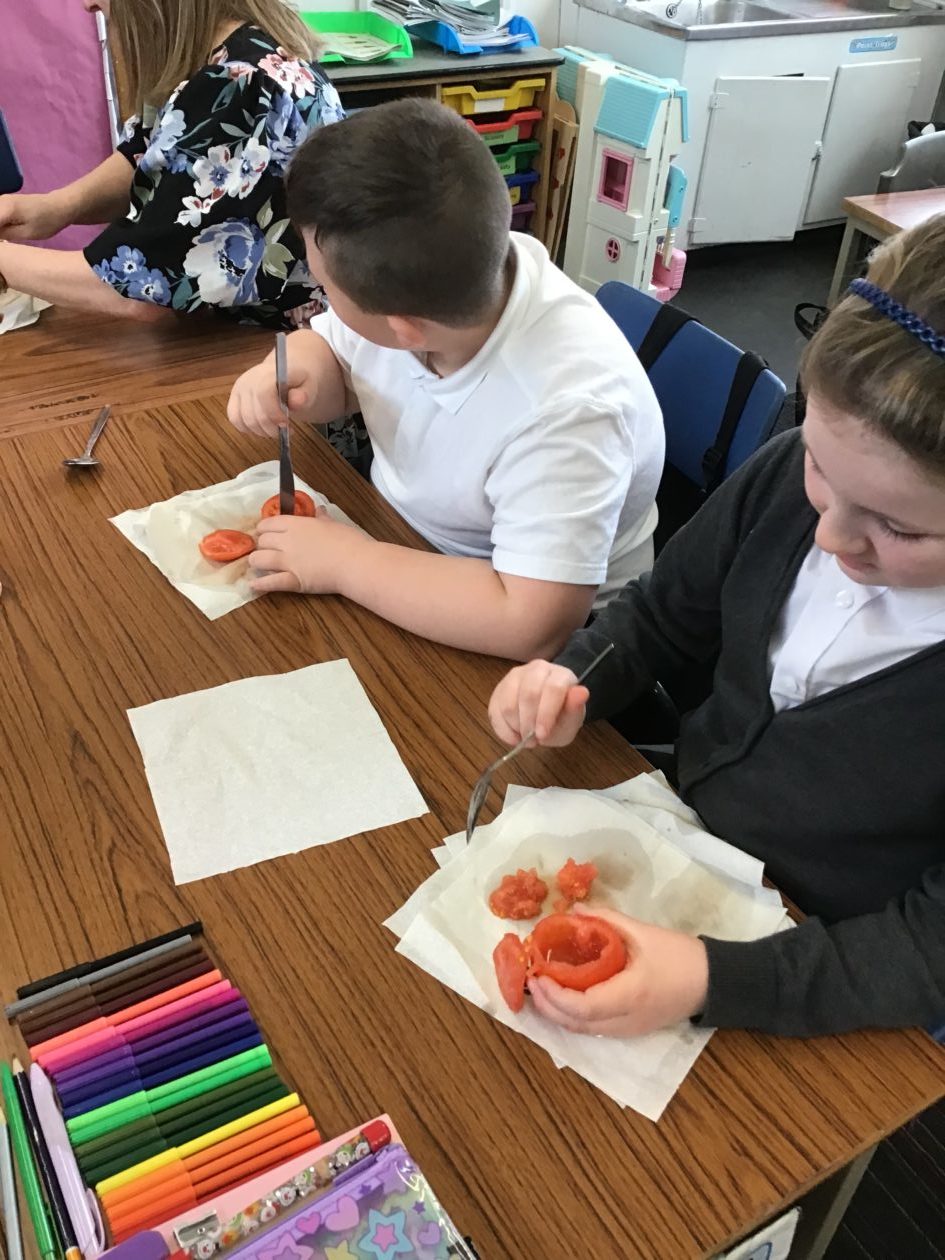 Mummification of a Tomato