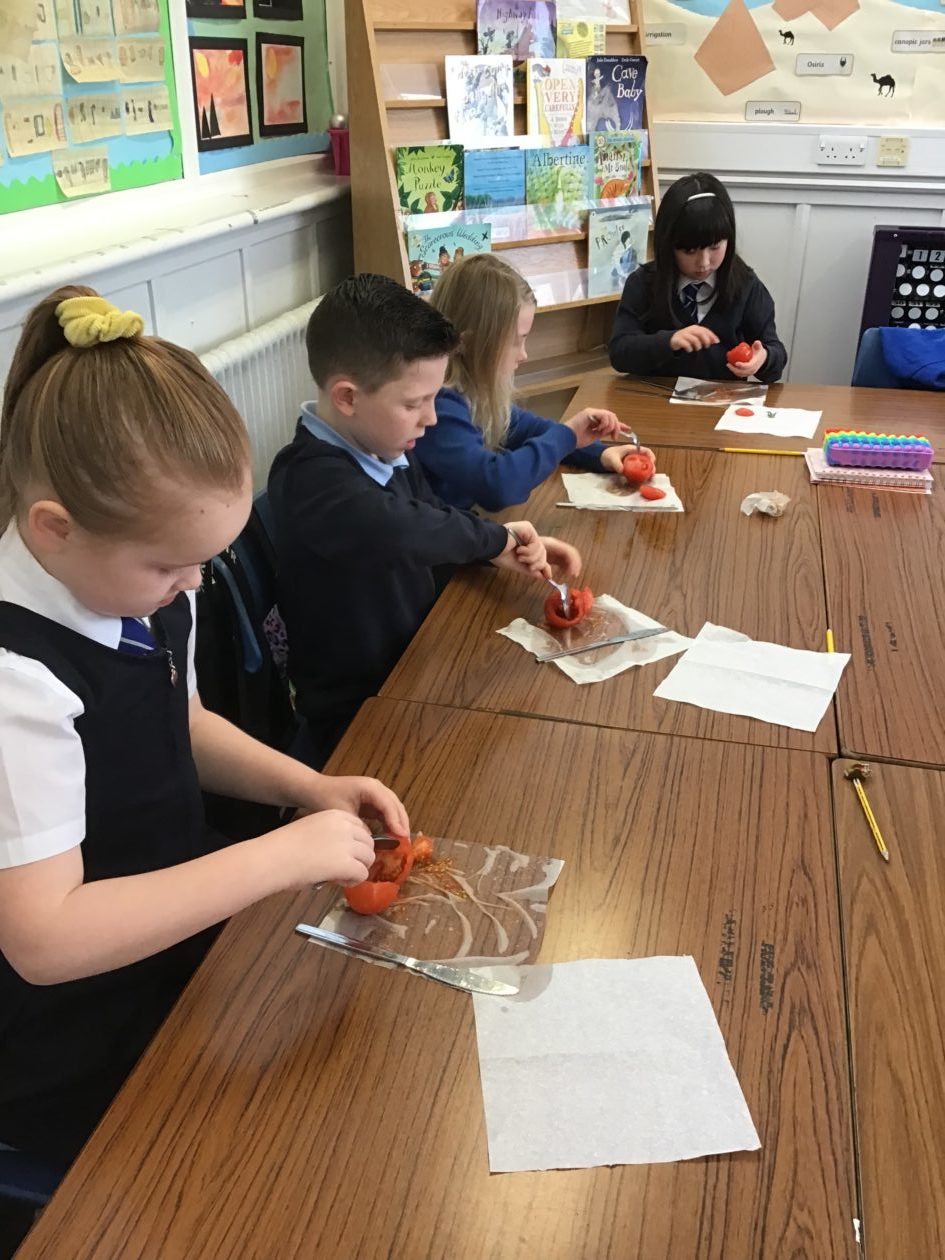 Mummification of a Tomato