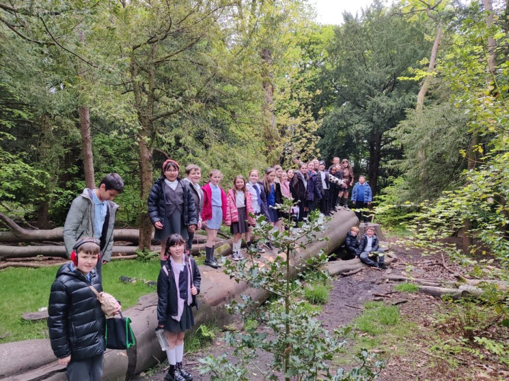 Hillington Primary School