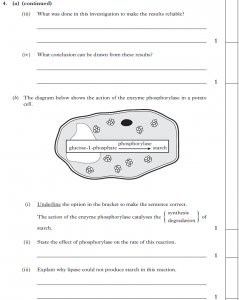 Enzymes – National 5 Unit 1 Revision Resource