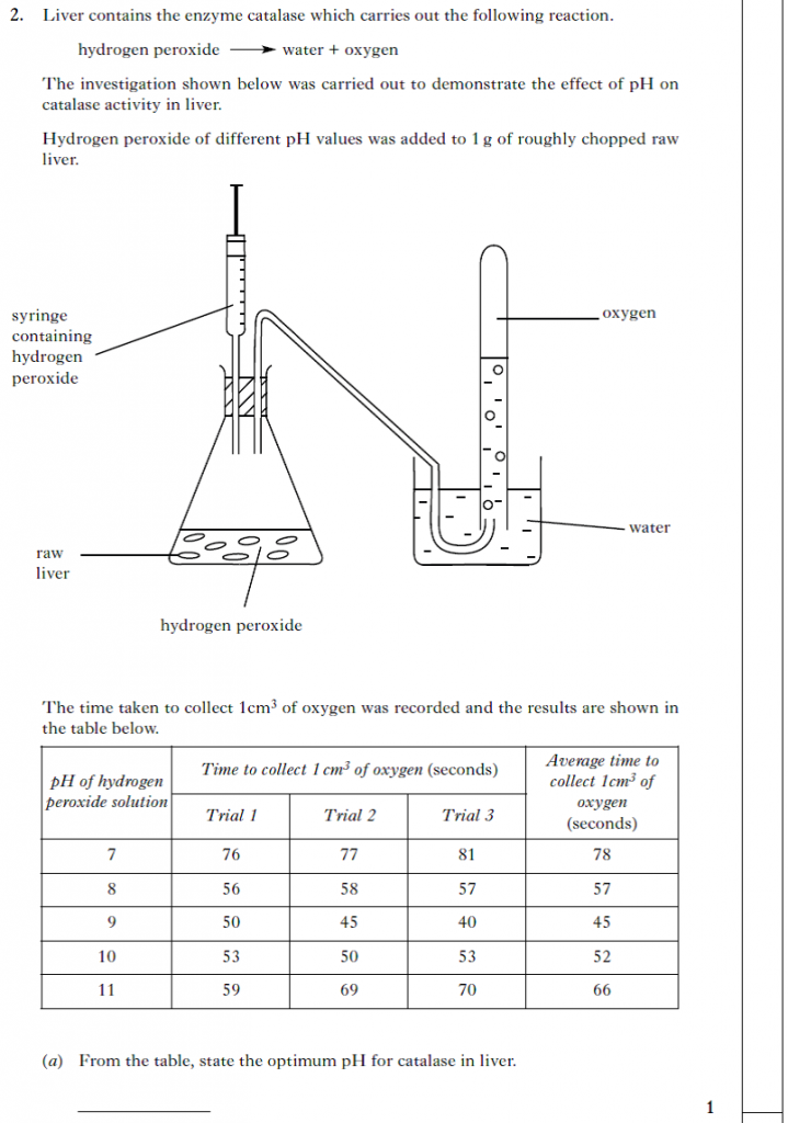 Enzymes – National 5 Unit 1 Revision Resource
