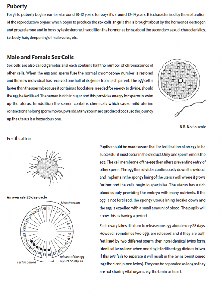 Cells & Reproduction Revision – Science Revision