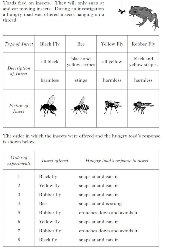 Data Interpretation (Level 3A) Part 1 – Science Revision
