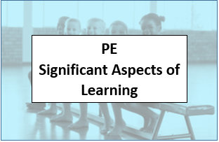 Primary Teachers HWB Benchmarks