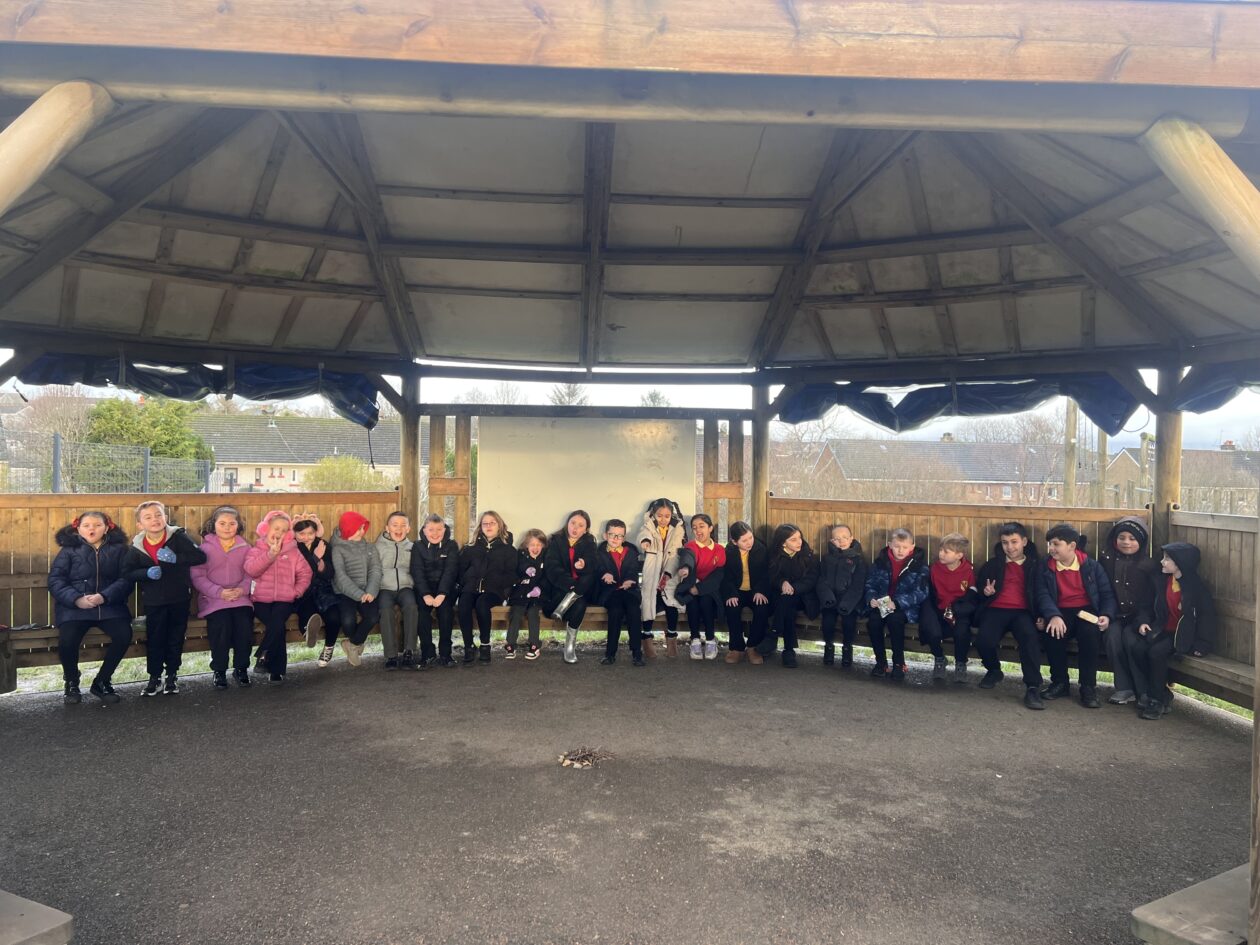 Primary 4a Wallacewell Primary