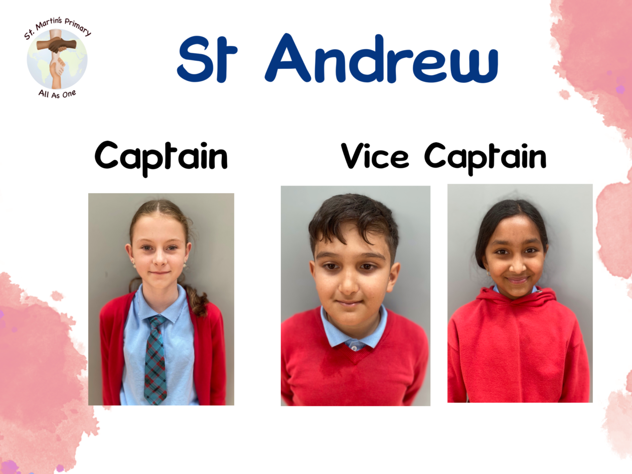 Primary 7 Leadership Roles | ST MARTIN'S PRIMARY SCHOOL
