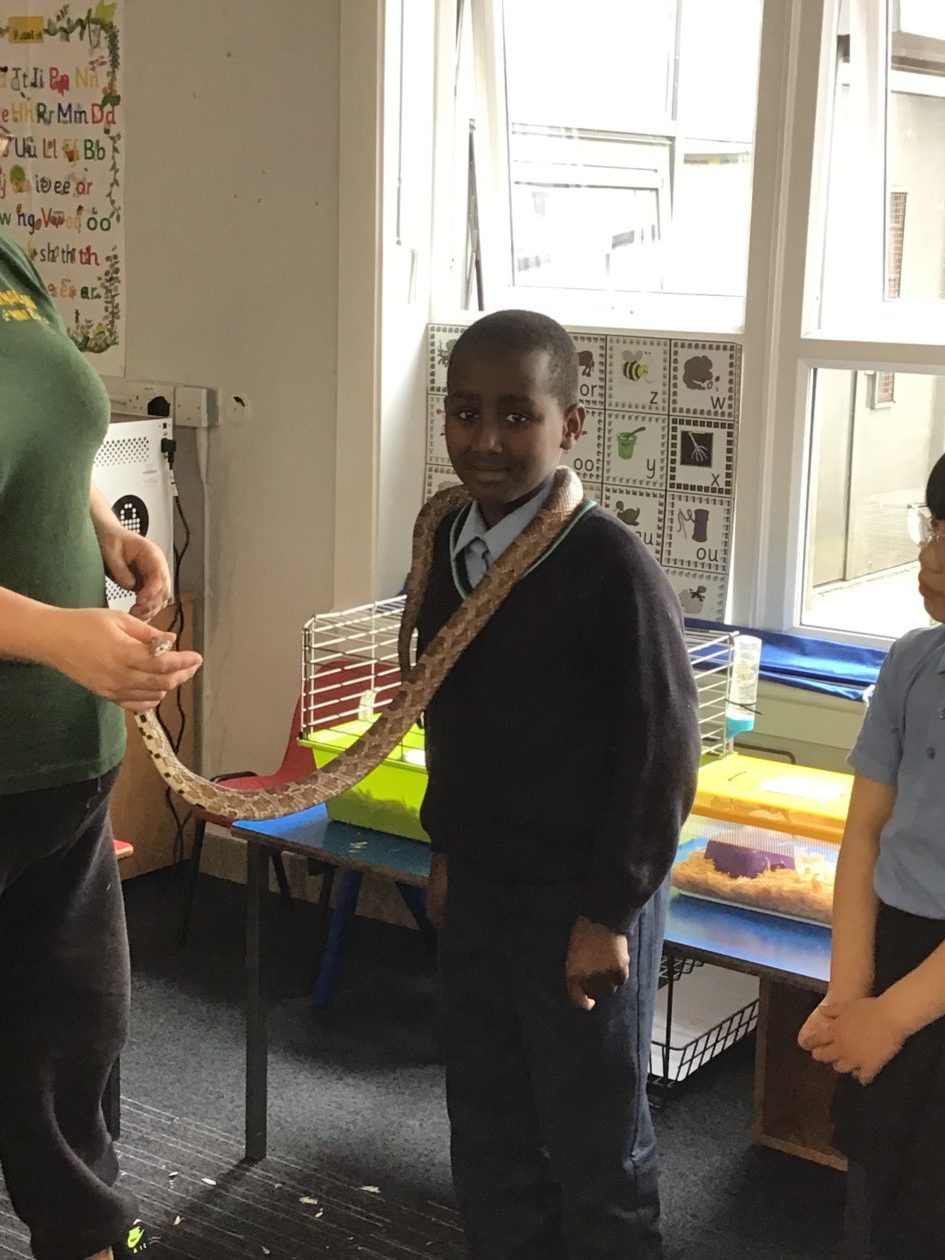 Primary 7 – St Mungo's Primary School and Nursery Class