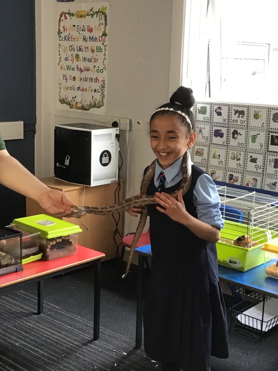 Primary 7 – St Mungo's Primary School and Nursery Class