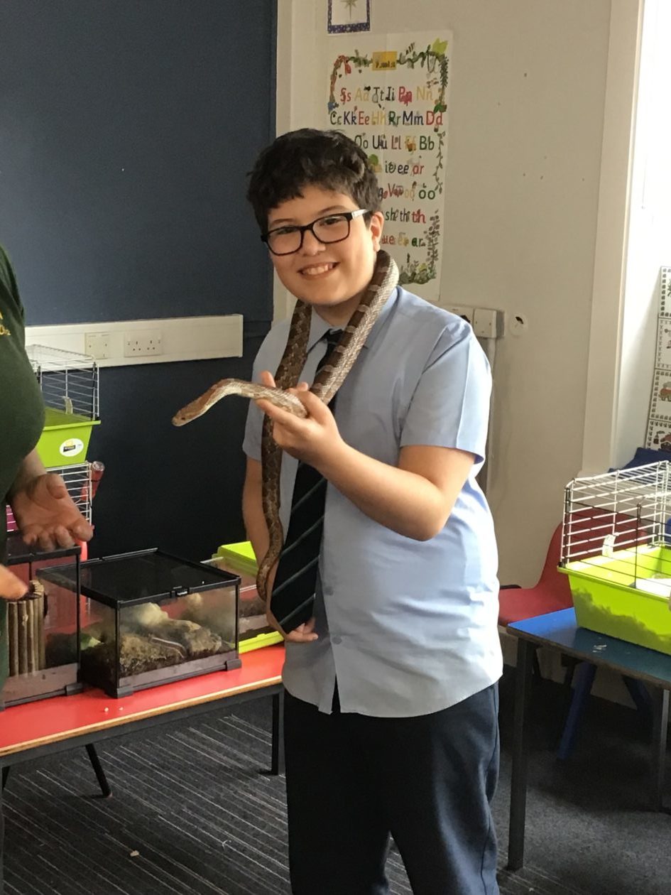 Primary 7 – St Mungo's Primary School and Nursery Class