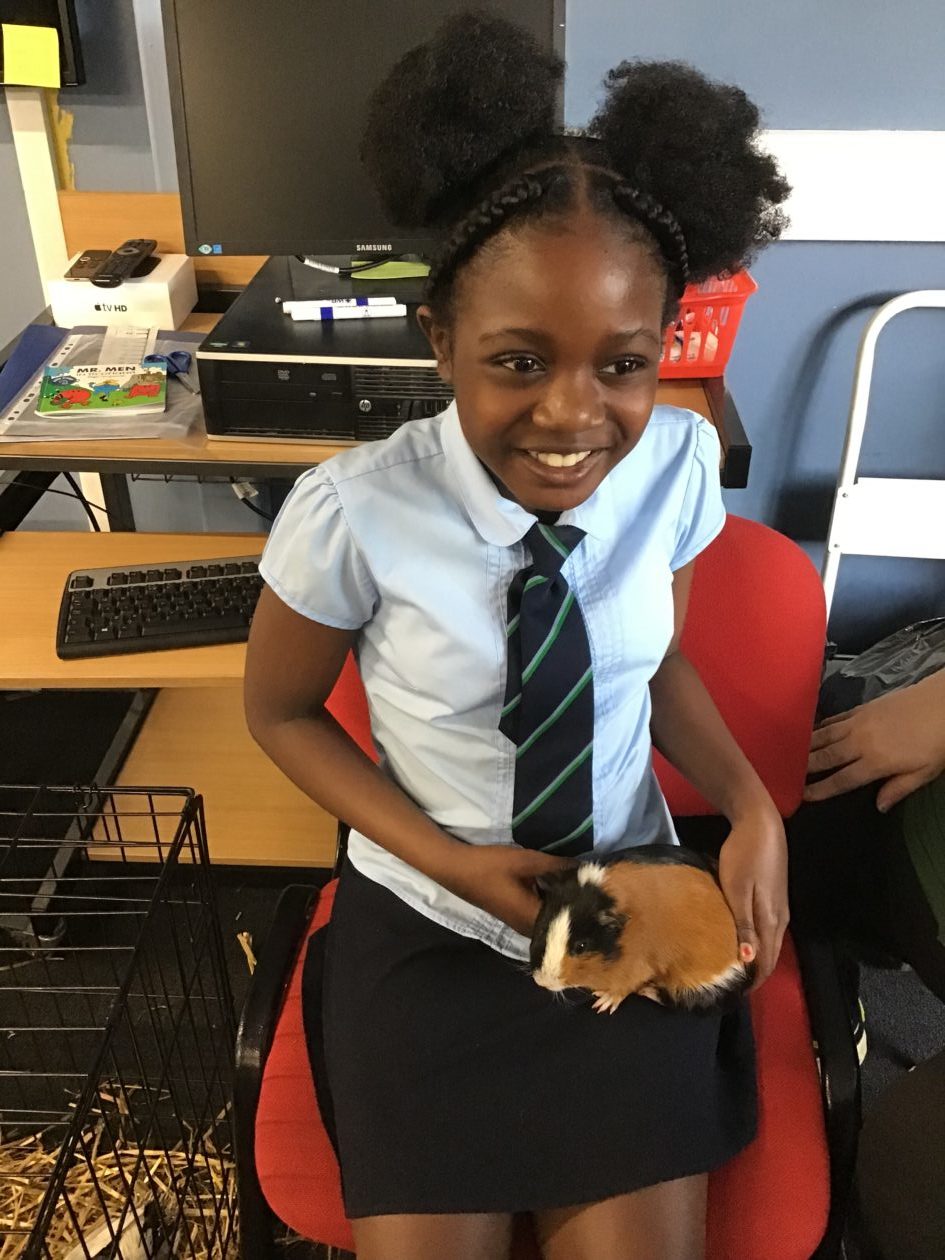 Primary 7 – St Mungo's Primary School and Nursery Class