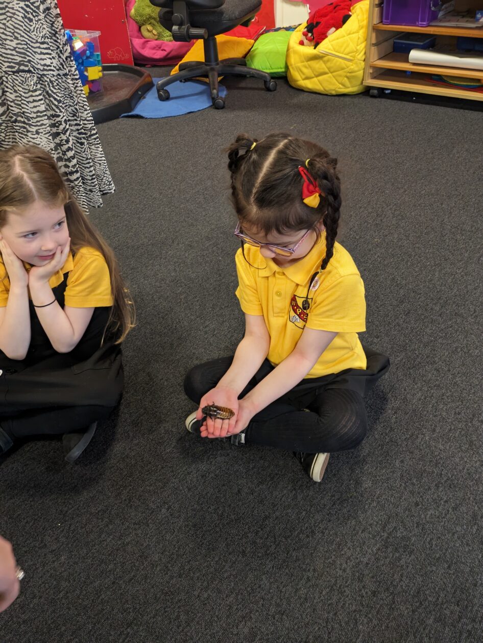 P1a Zoolab Experience | Wallacewell Primary School