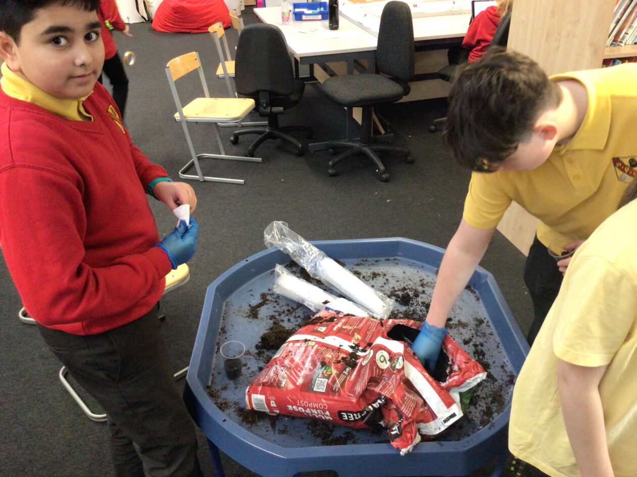 P7s Photosynthesis | Wallacewell Primary School