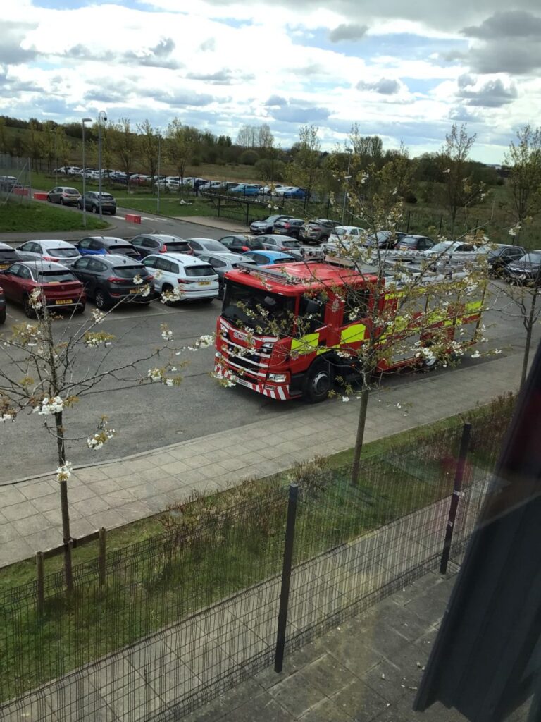 P3a – Developing The Young Workforce Week | Wallacewell Primary School