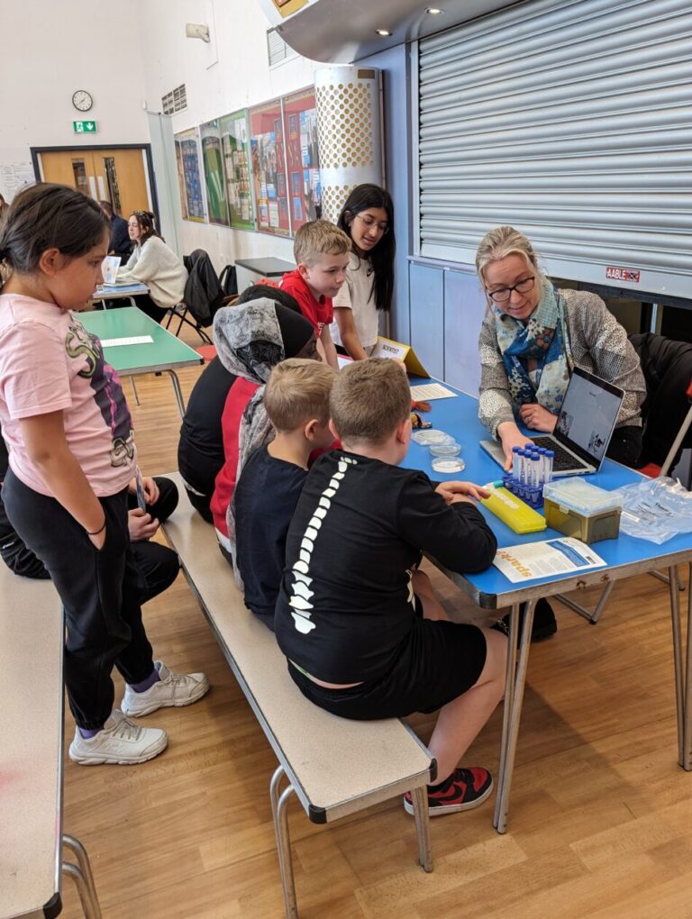 P5b Developing the Young Workforce | Wallacewell Primary School