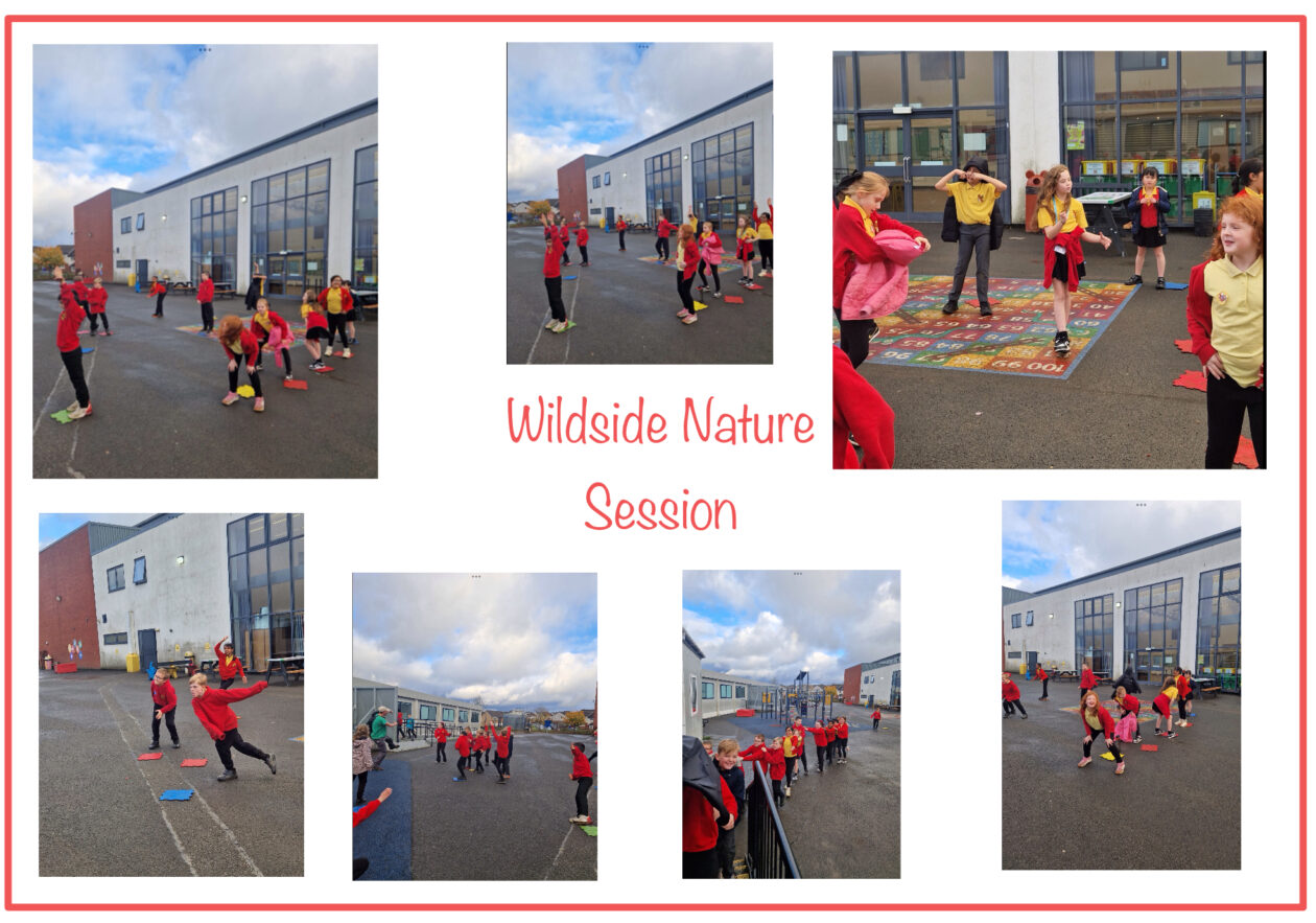 P5a – Wildside nature session | Wallacewell Primary School