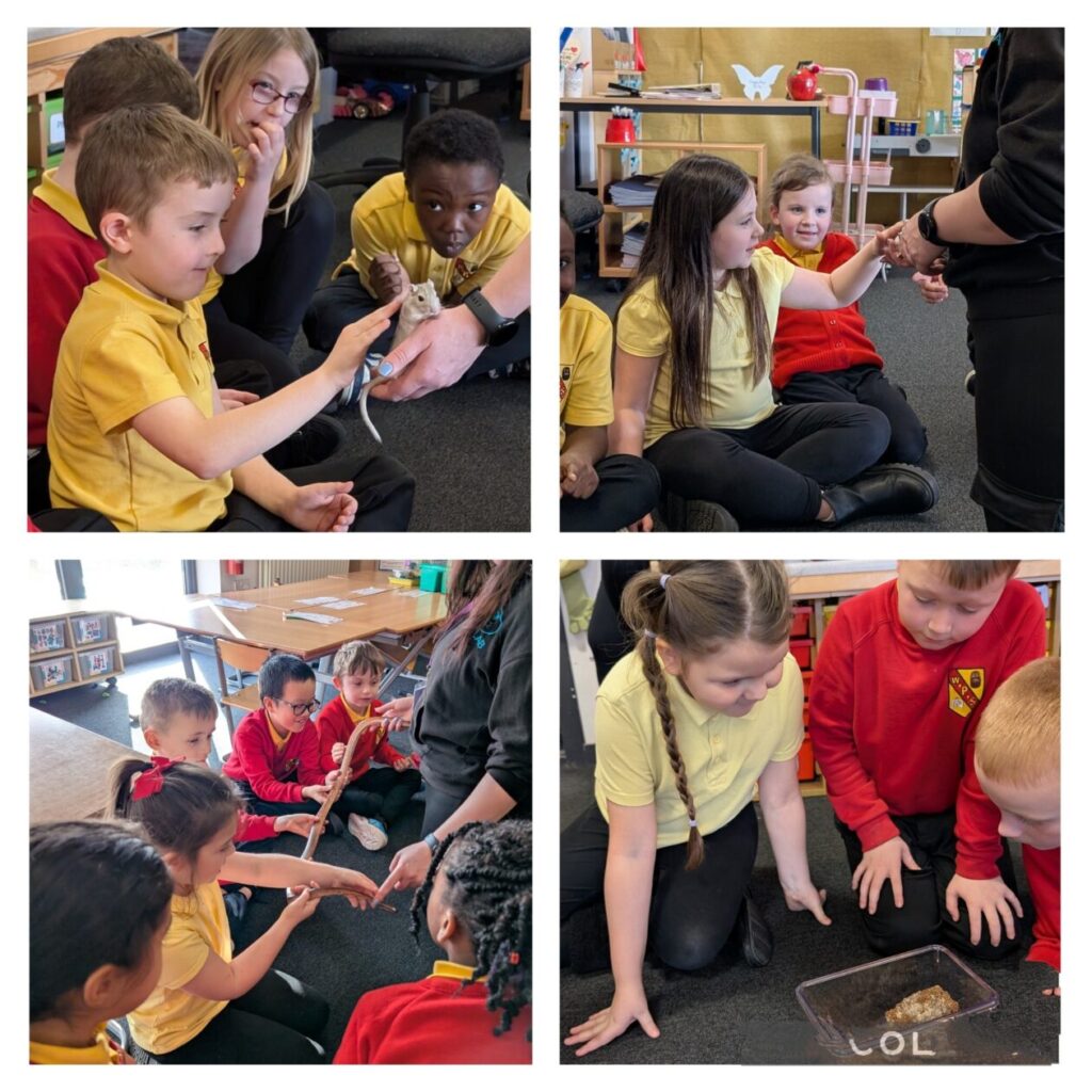 P3a | Wallacewell Primary School