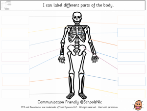 Body labelling