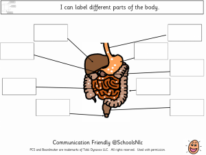 Body labelling