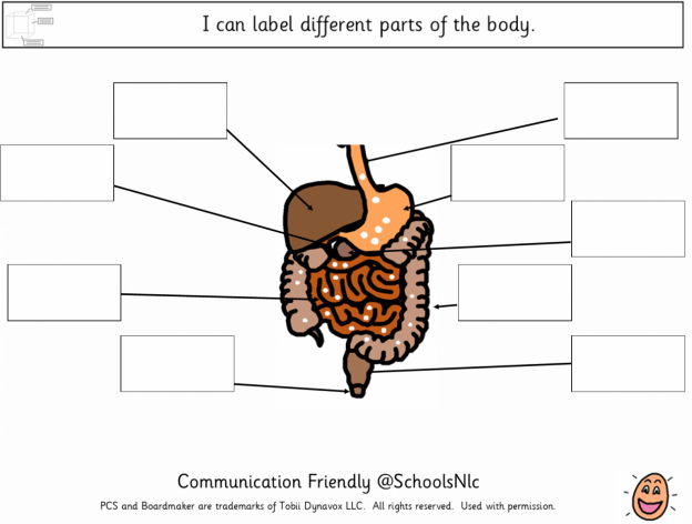 Body labelling