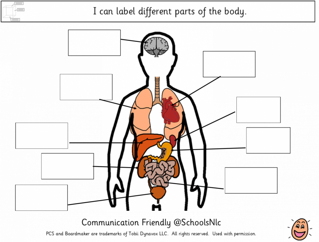 Body labelling | Communication Friendly Environments