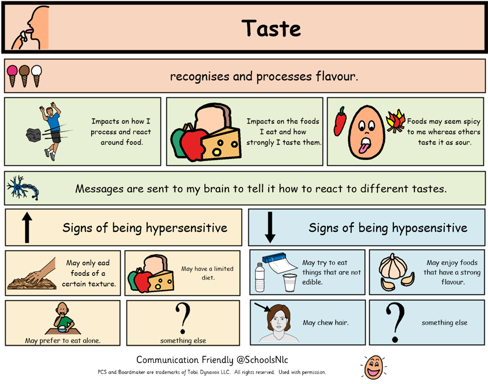 All about the senses