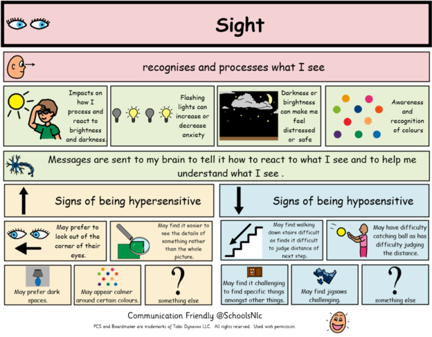 All about the senses