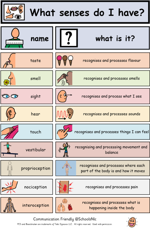 All about the senses