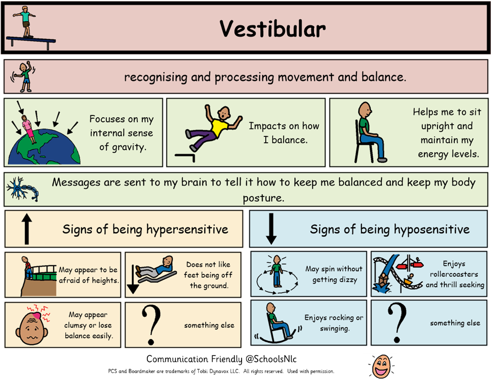 All about the senses