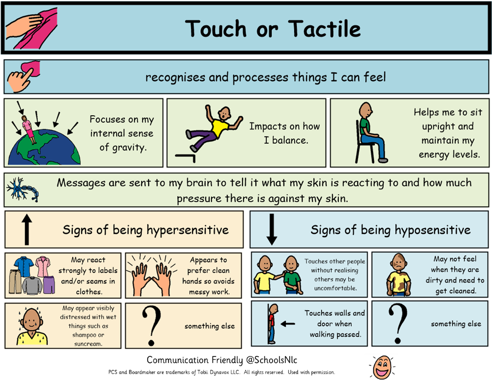 All about the senses