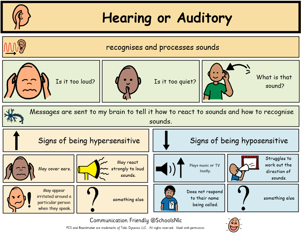 All about the senses