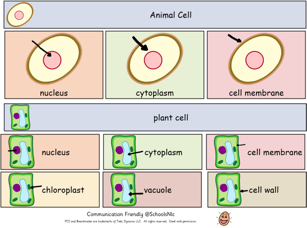 Biology Resources