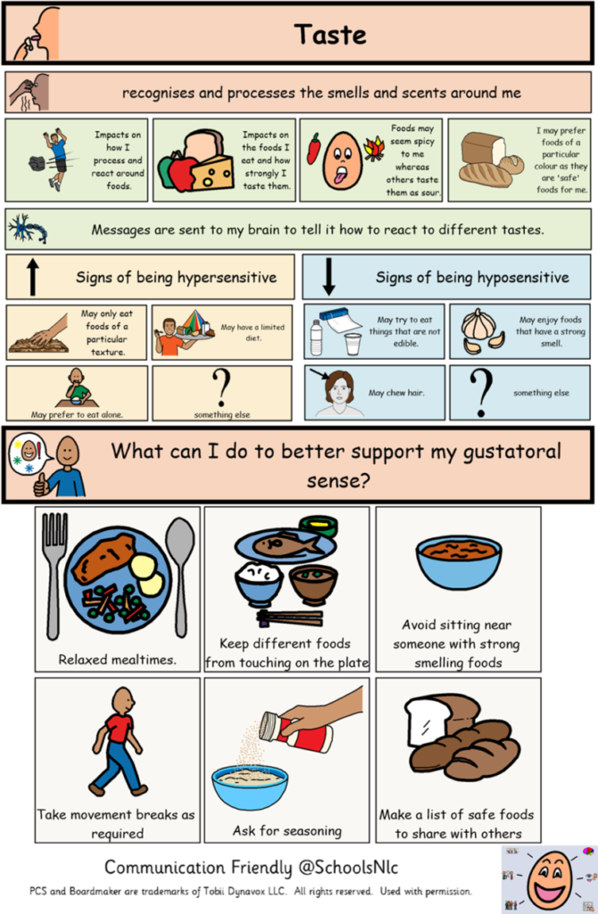 Sensory Sensitivities and Strategies to Support