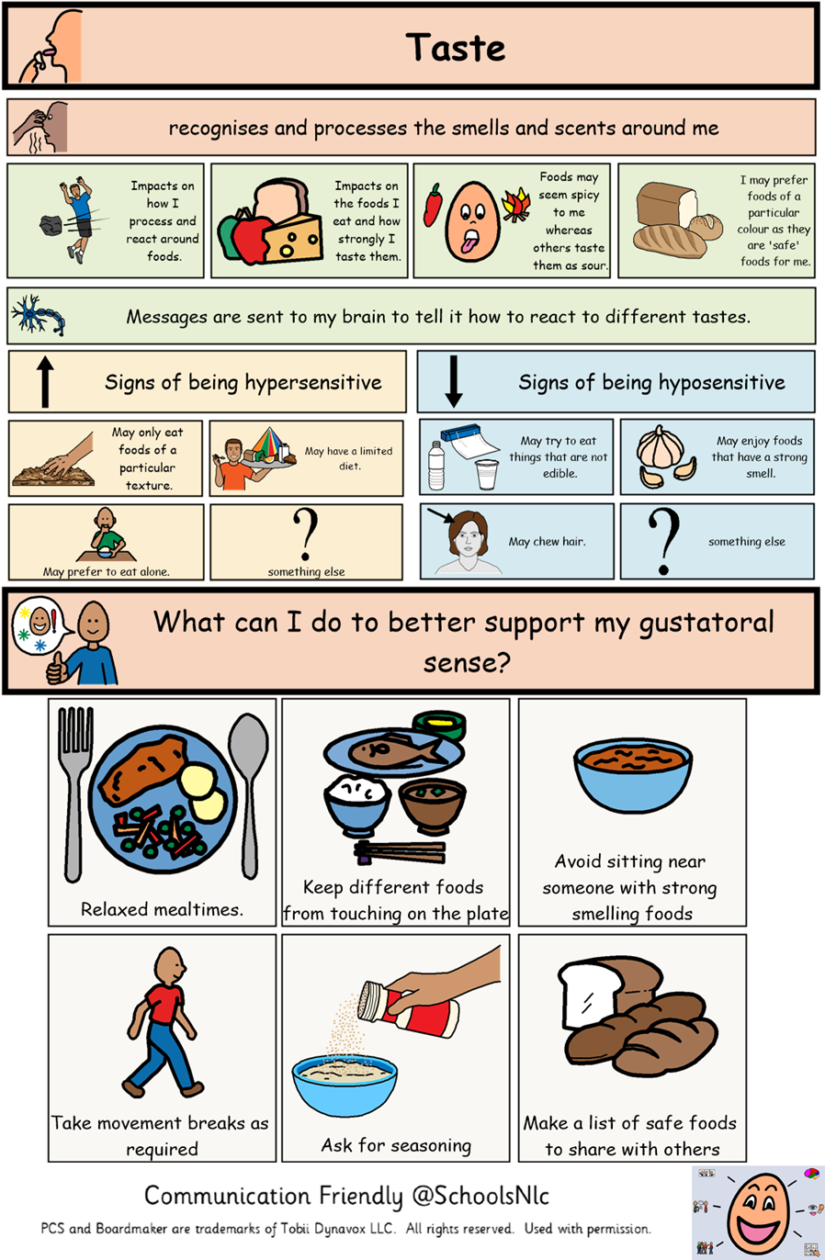 Sensory Sensitivities and Strategies to Support