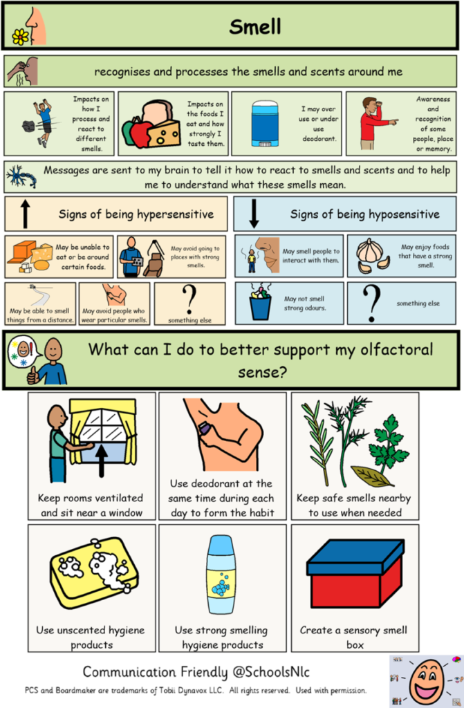 Sensory Sensitivities and Strategies to Support