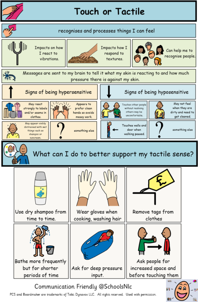 Sensory Sensitivities and Strategies to Support