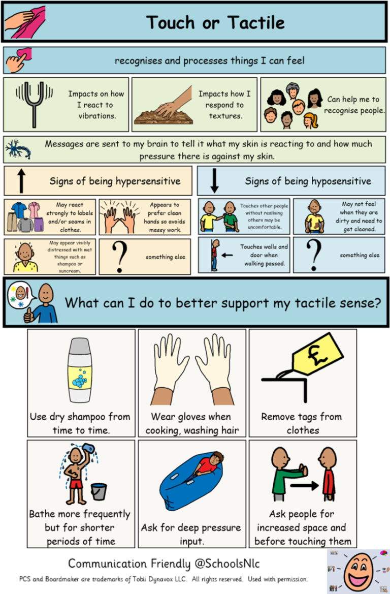Sensory Sensitivities and Strategies to Support