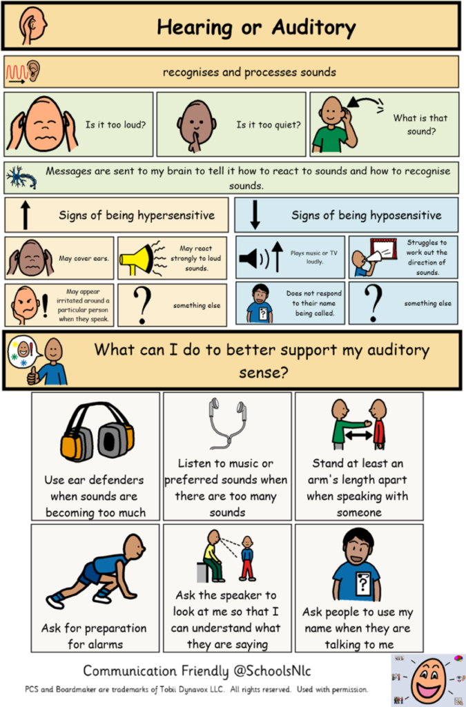 Sensory Sensitivities and Strategies to Support