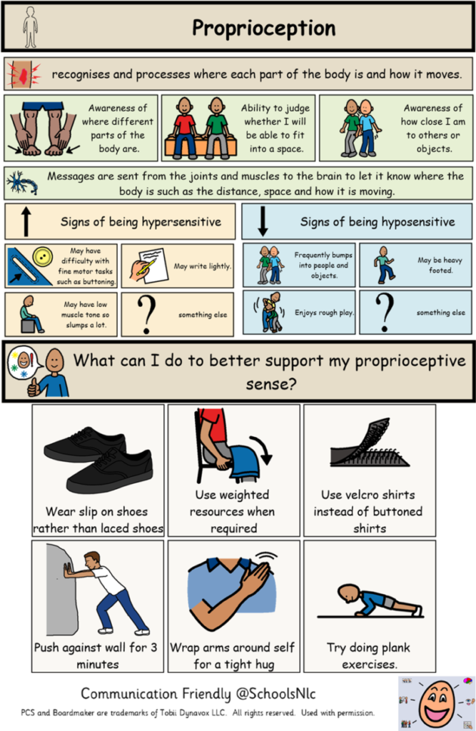 Sensory Sensitivities and Strategies to Support