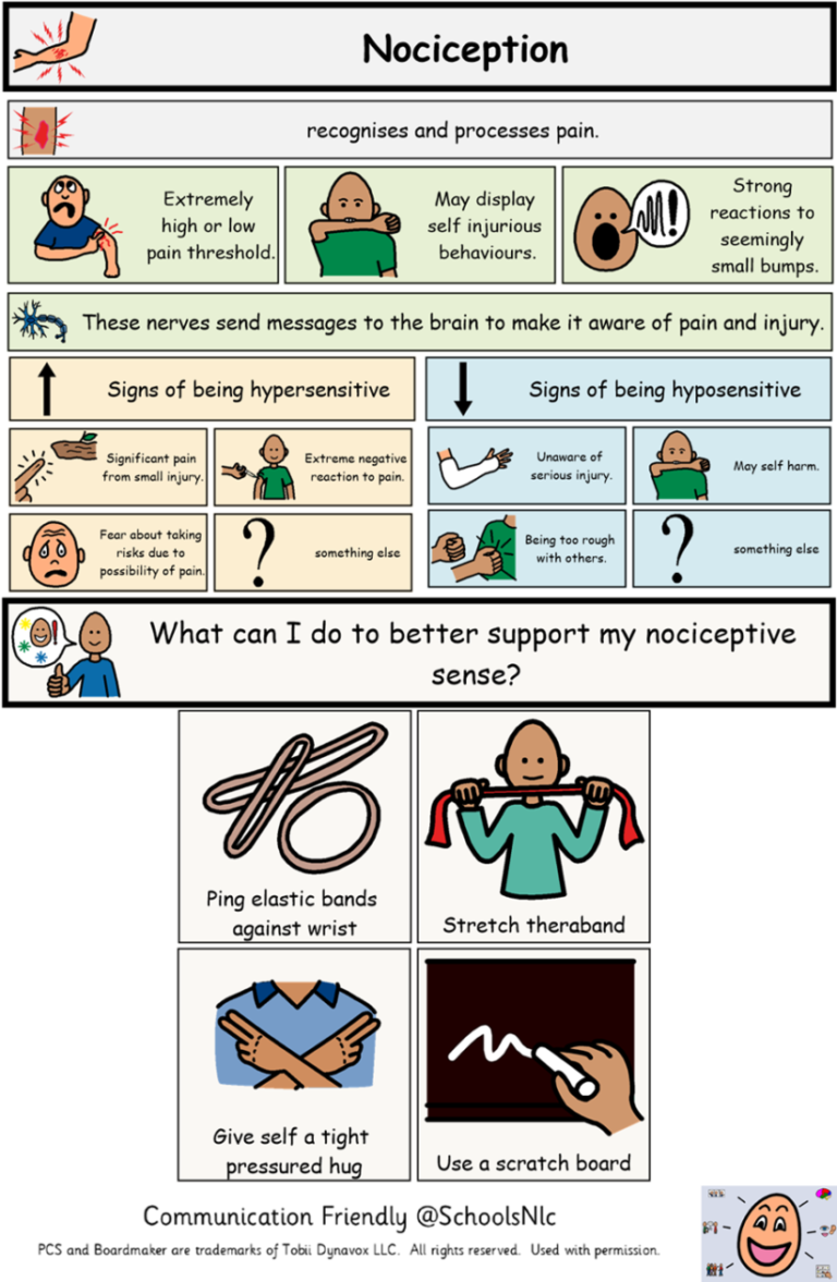 Sensory Sensitivities and Strategies to Support