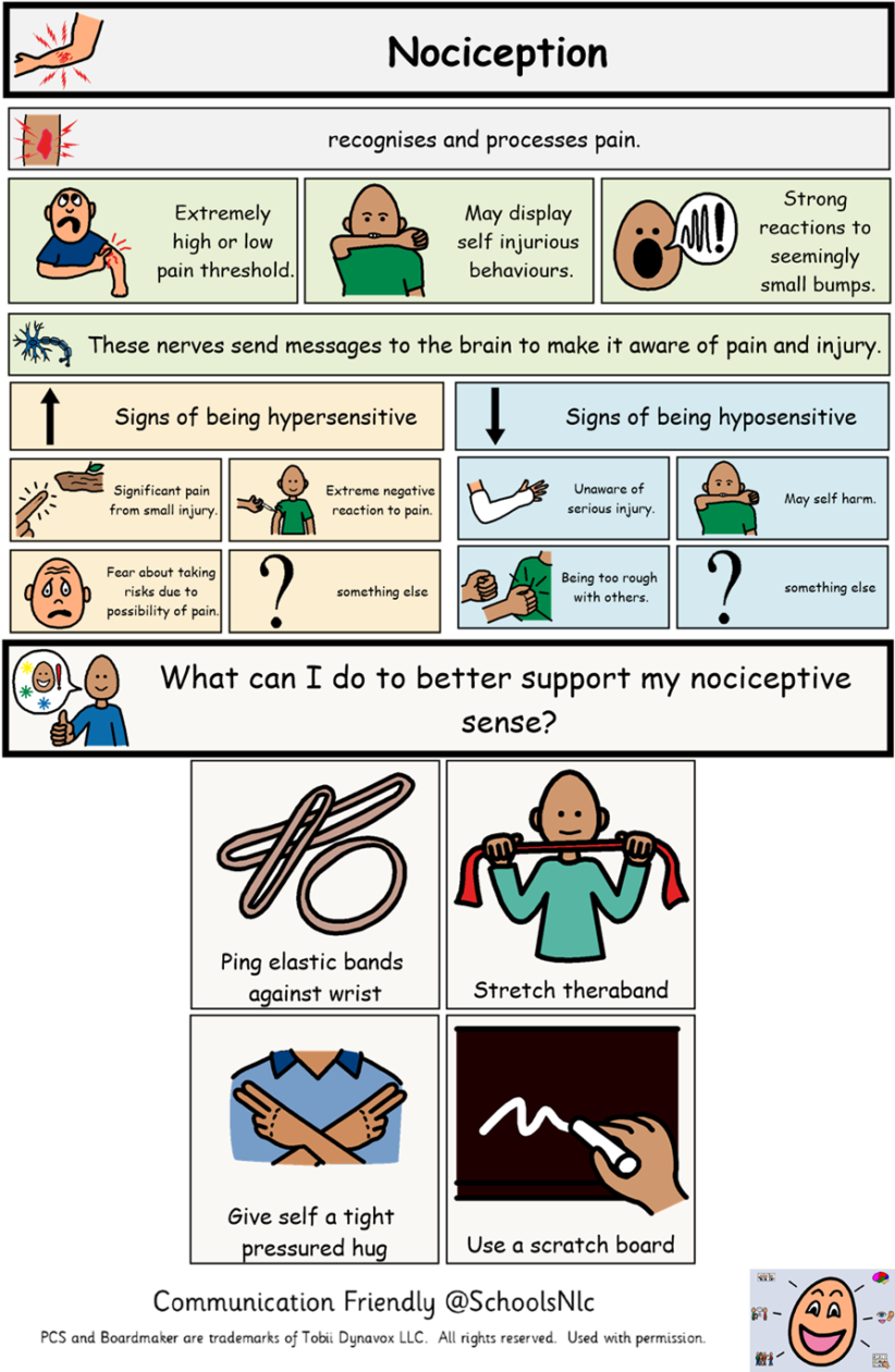 Sensory Sensitivities and Strategies to Support