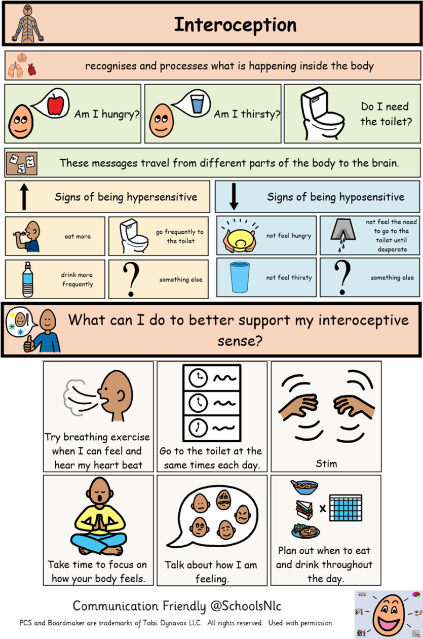 Sensory Sensitivities and Strategies to Support