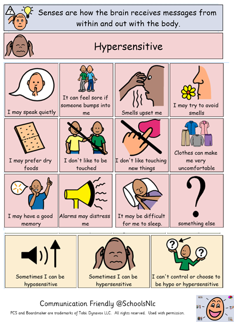 Sensory Sensitivities and Strategies to Support