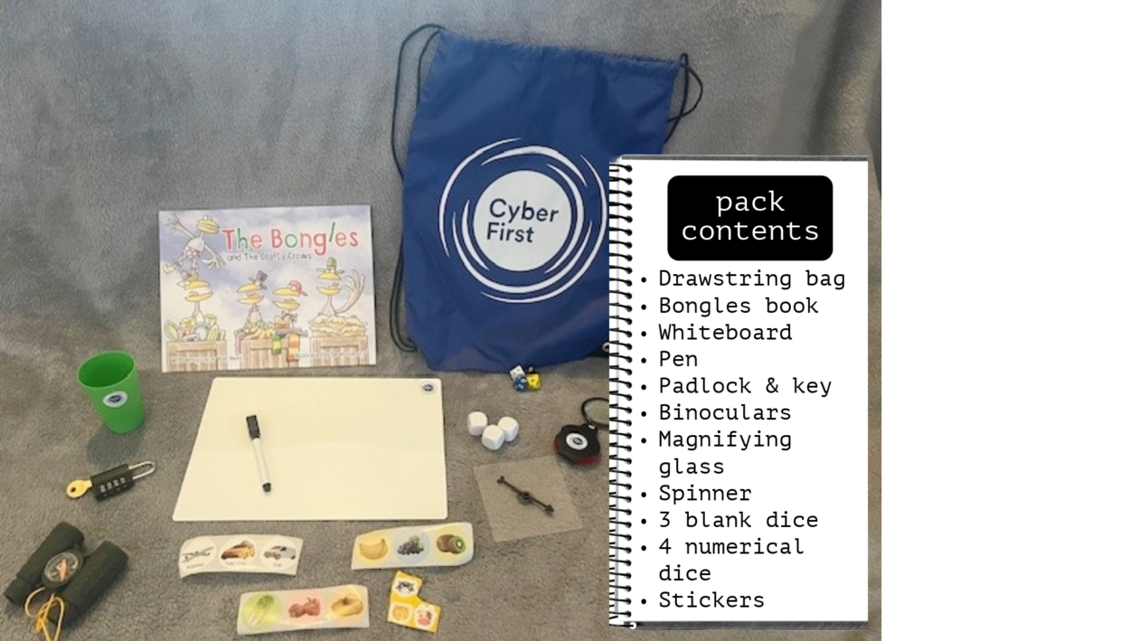Exploring cyber security play pack, for early level learners. – DigiLearn