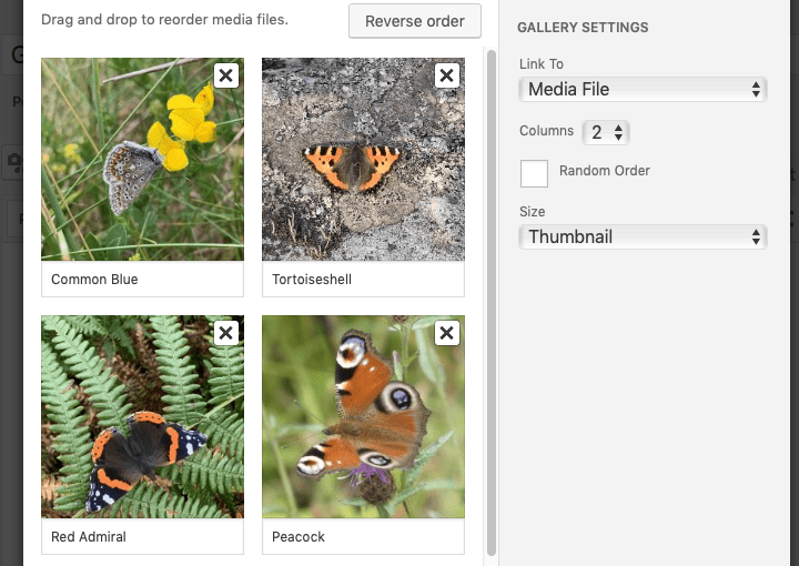 Gallery – Glow Blogs – An Introduction